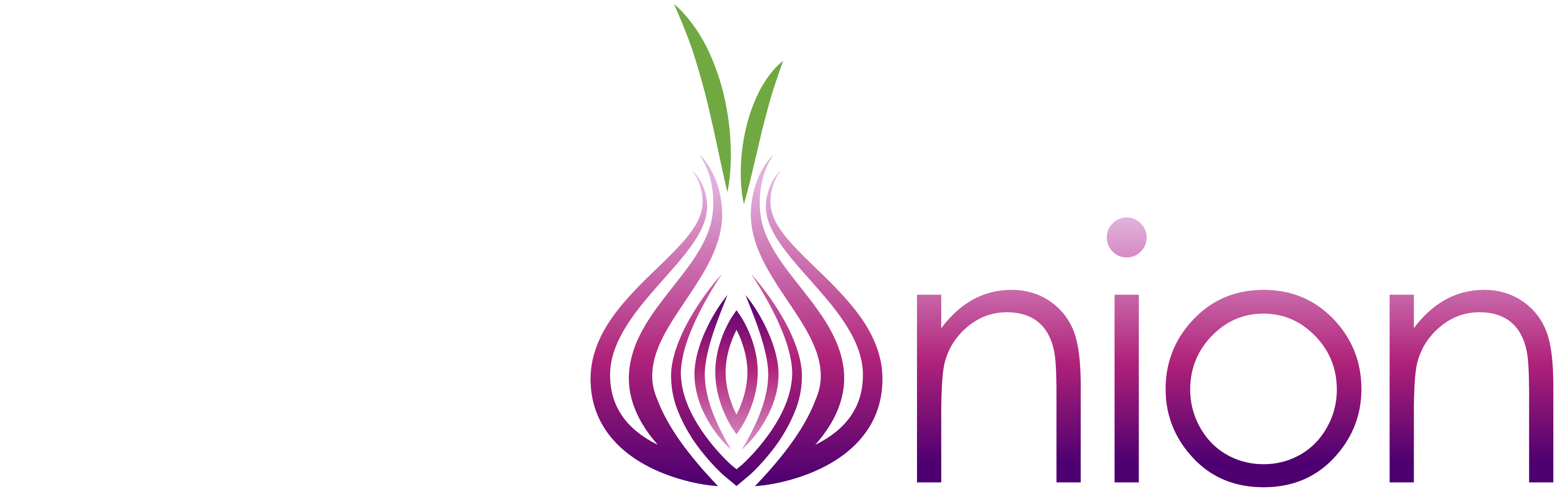 File Onion